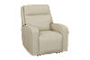 Haley Power Recliner