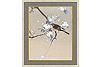 Spring Perch Framed Art