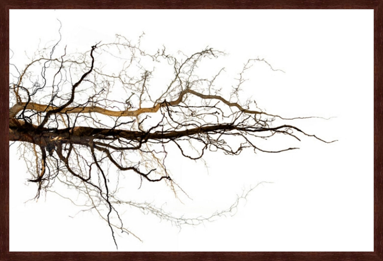 Tree Branch Art Framed